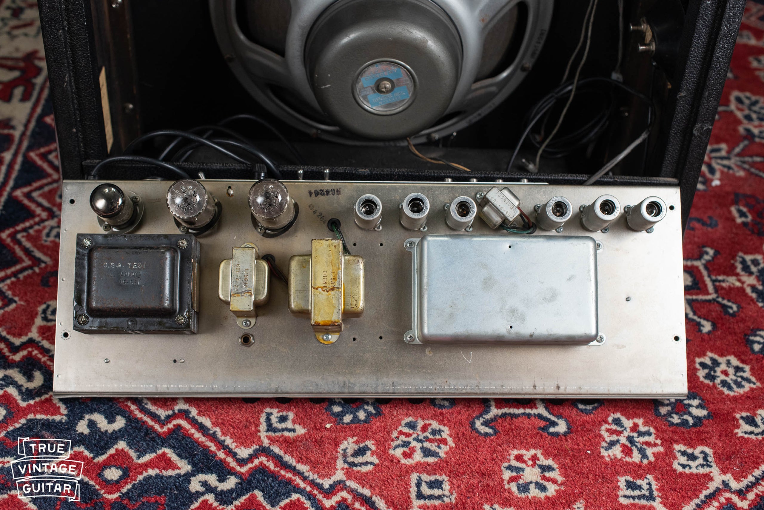1964 Fender Vibroverb Amp – True Vintage Guitar